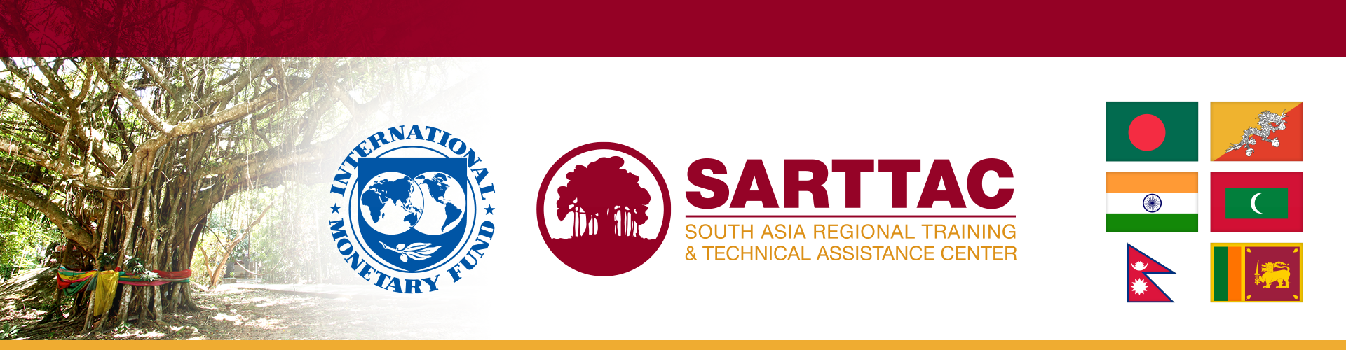 IMF SARTTAC
